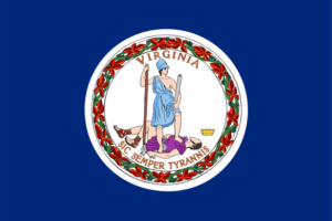 What Do The Different Felony Levels Mean In Virginia? | Inch Law